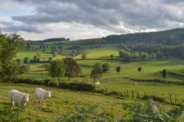 Galerie photos - Cenves