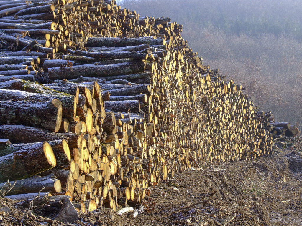 Galerie photos - Cenves