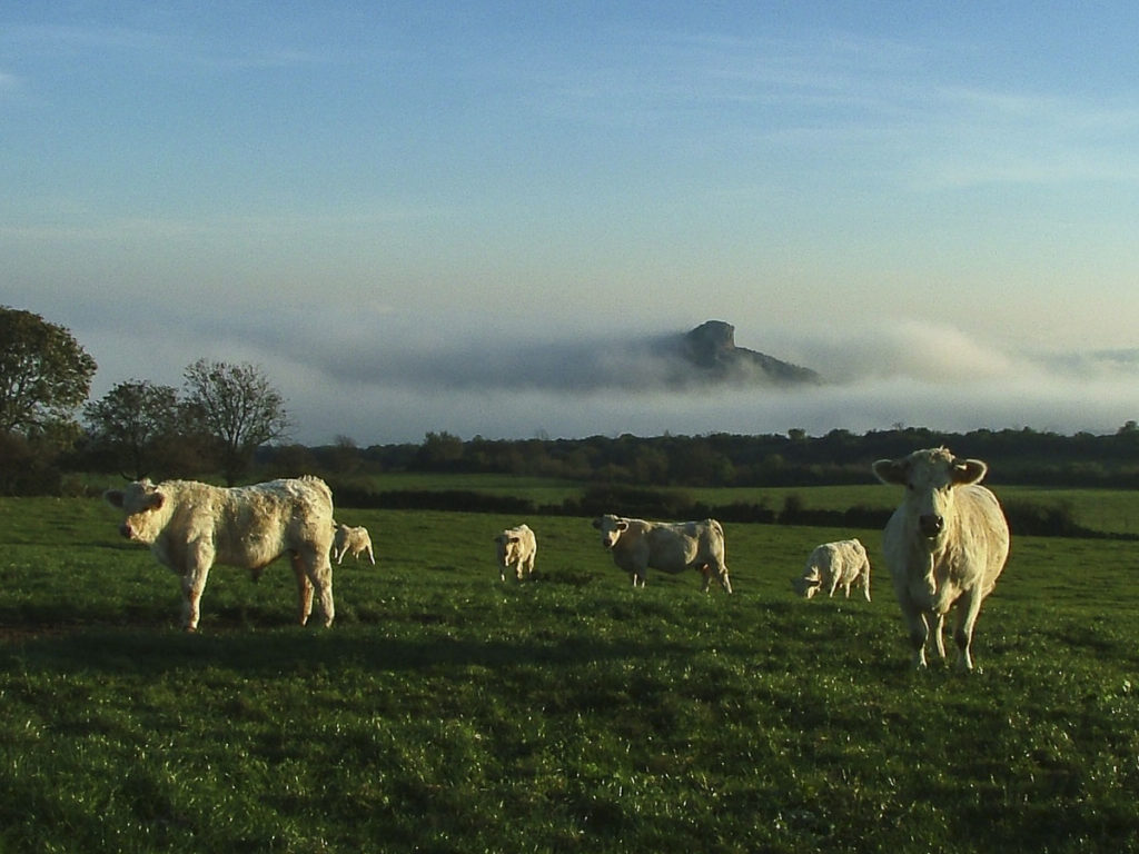 Galerie photos - Cenves