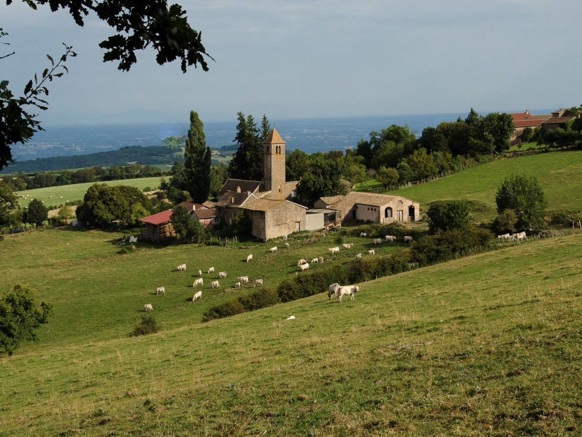 Le Prieuré de La Grange du Bois: Son histoire - Cenves